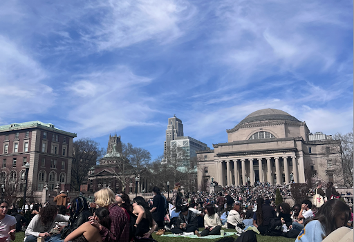 What made Sena's application shine? | Columbia SIPA