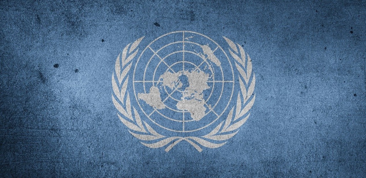 The United Nations’ Role in Combating Racism and Discrimination: 7 ...