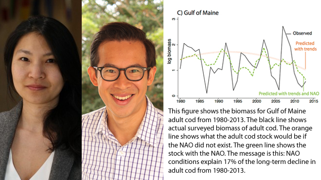 Cod and Climate | Columbia SIPA