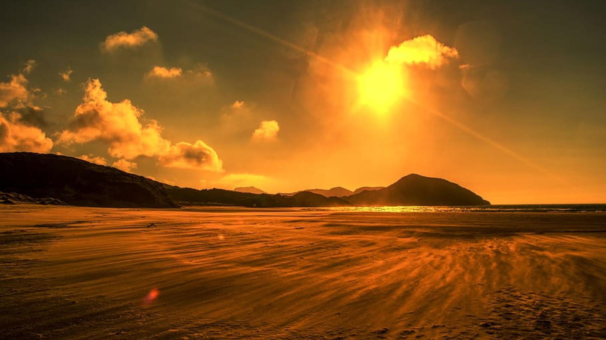 Jeffrey Shrader | Columbia SIPA