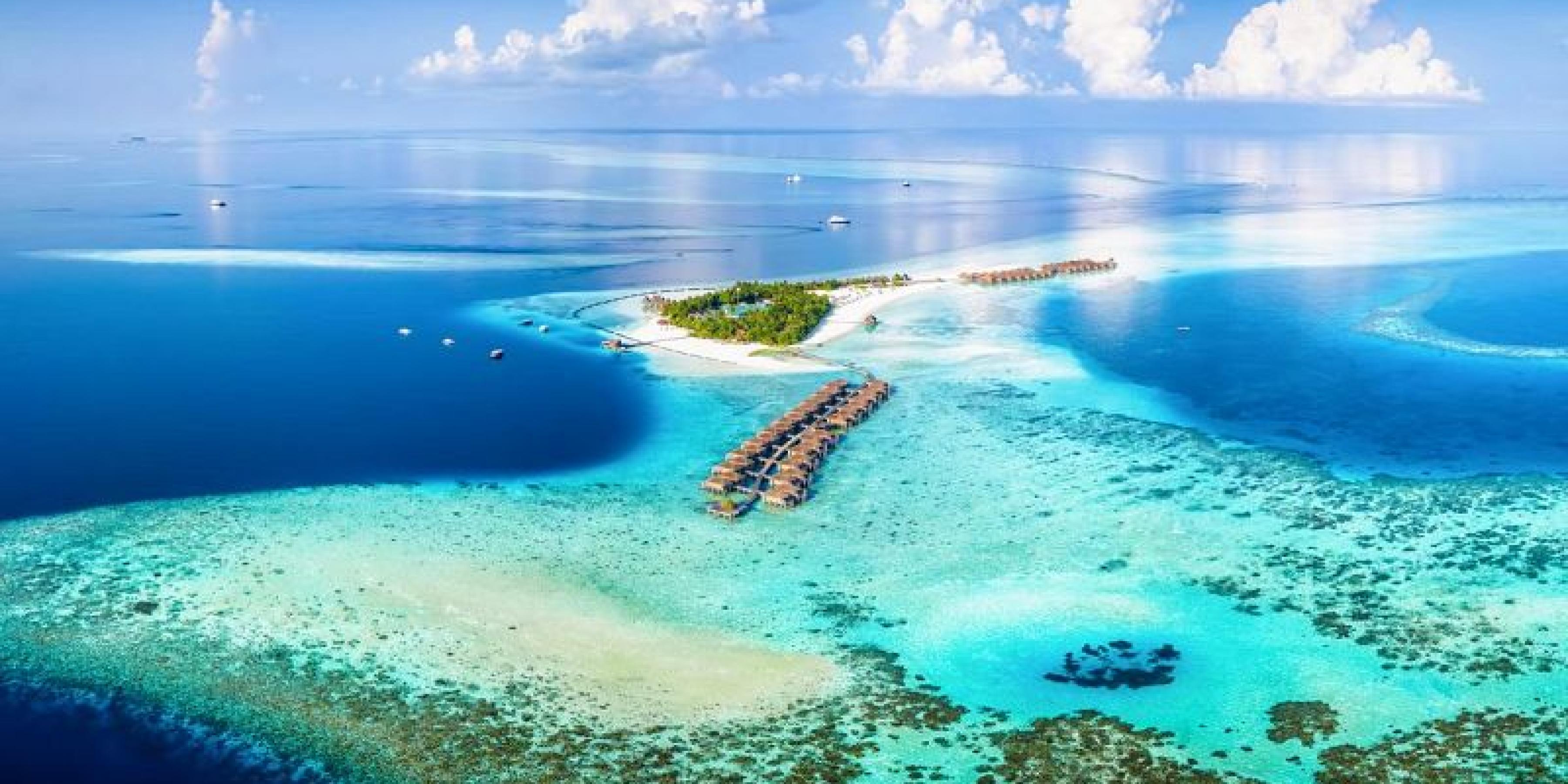 The great oceanic states | Columbia SIPA