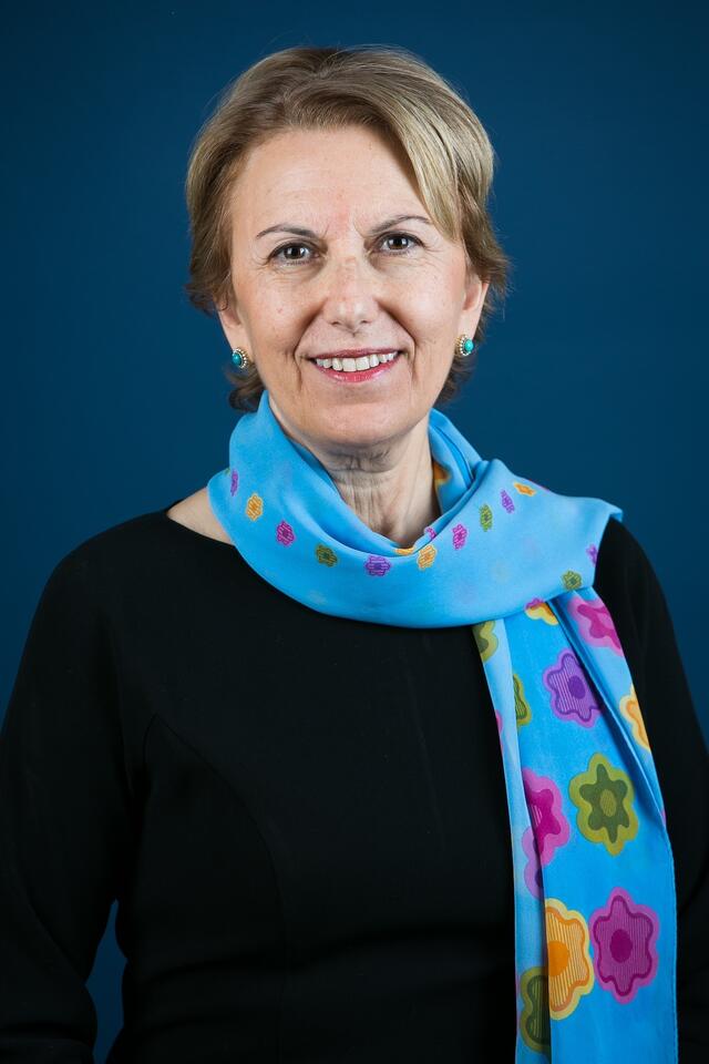 Yasmine Ergas Receives Grant to Study Attacks on Gender Studies ...