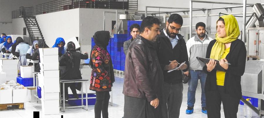 MPA-DP Career Paths | Columbia SIPA